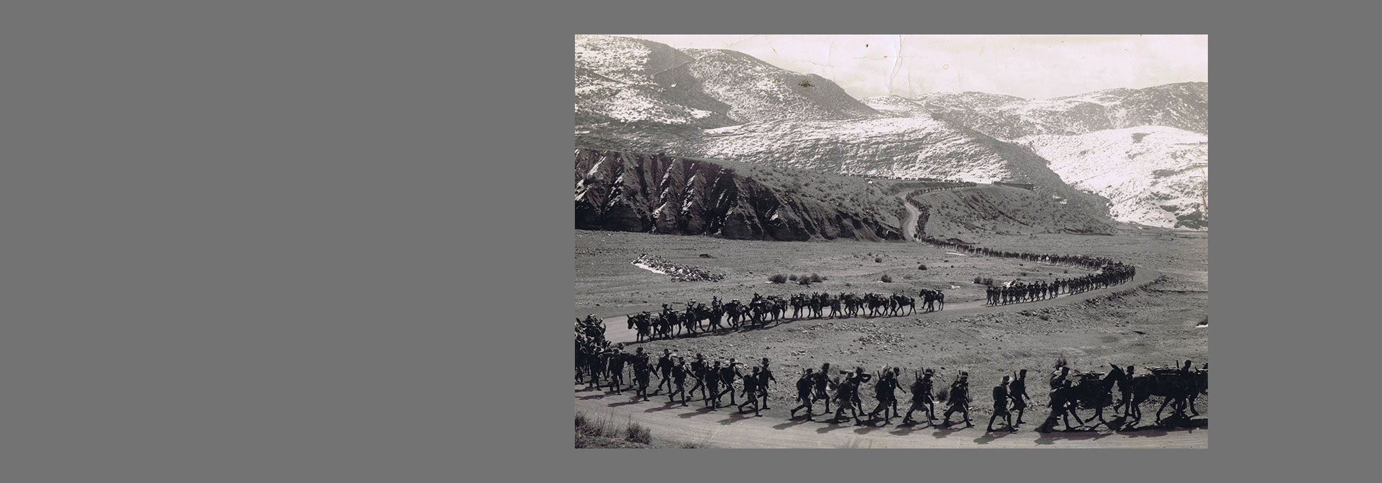 The Green Howards Museum